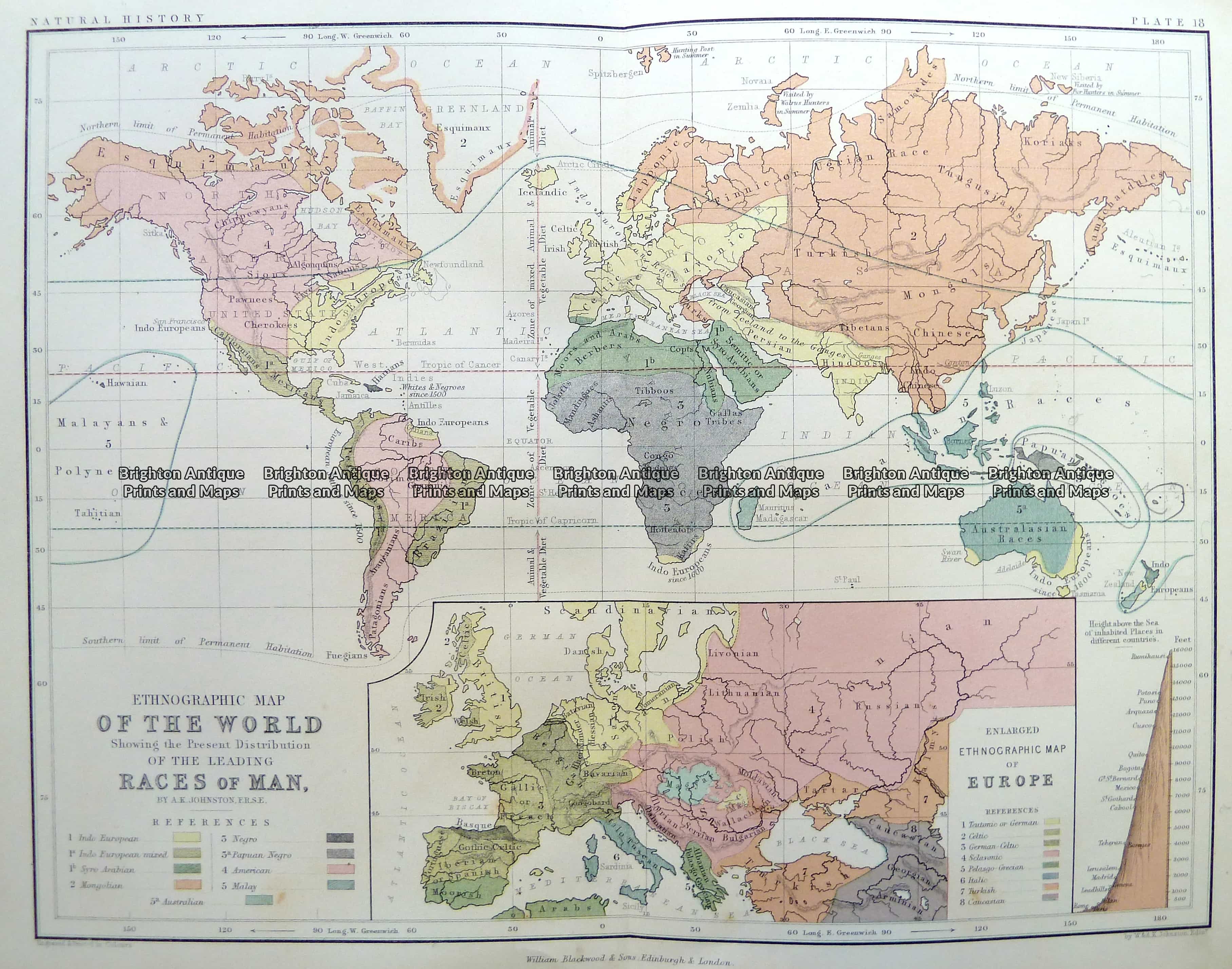 Antique Map 3-388 World Races of Man by Johnston c.1851 - Brighton ...