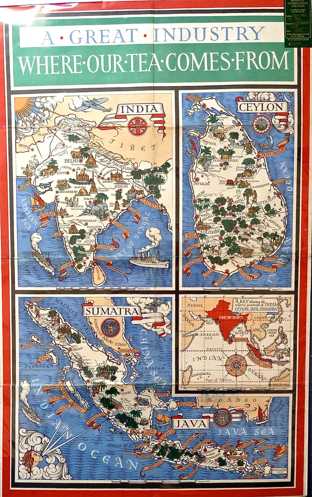 Antique map - Source of Tea in Asia by MacDonald Gill c.1937. Ref: 789 ...